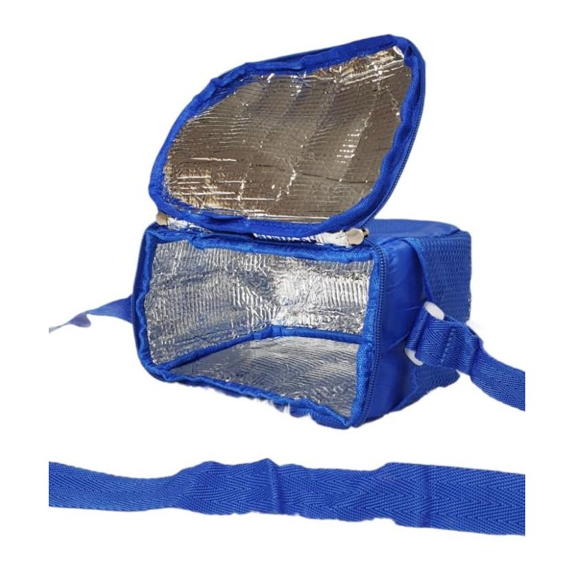 Jual Promo Tas Dorong Trolley Anak TK Gambar Mobil Cars McQueen + Tas ...