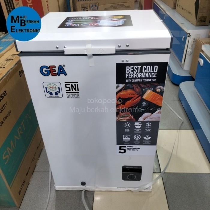 Jual EST FREEZER BOX GEA AB 108 R UNTUK FROZEN FOOD DLL (100 LITER ...