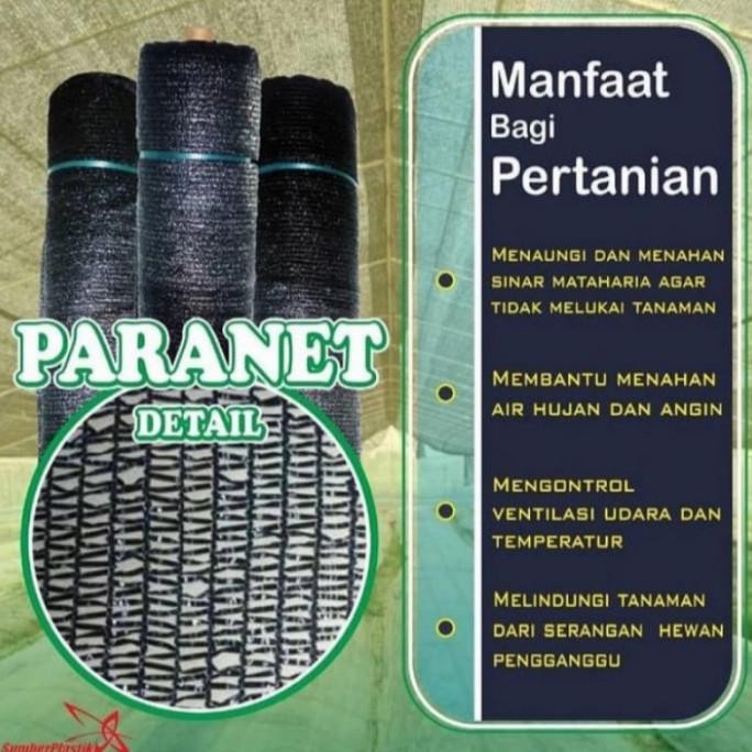 Jual PROMO PARANET 75% ( 1 ROLL ) | Shopee Indonesia