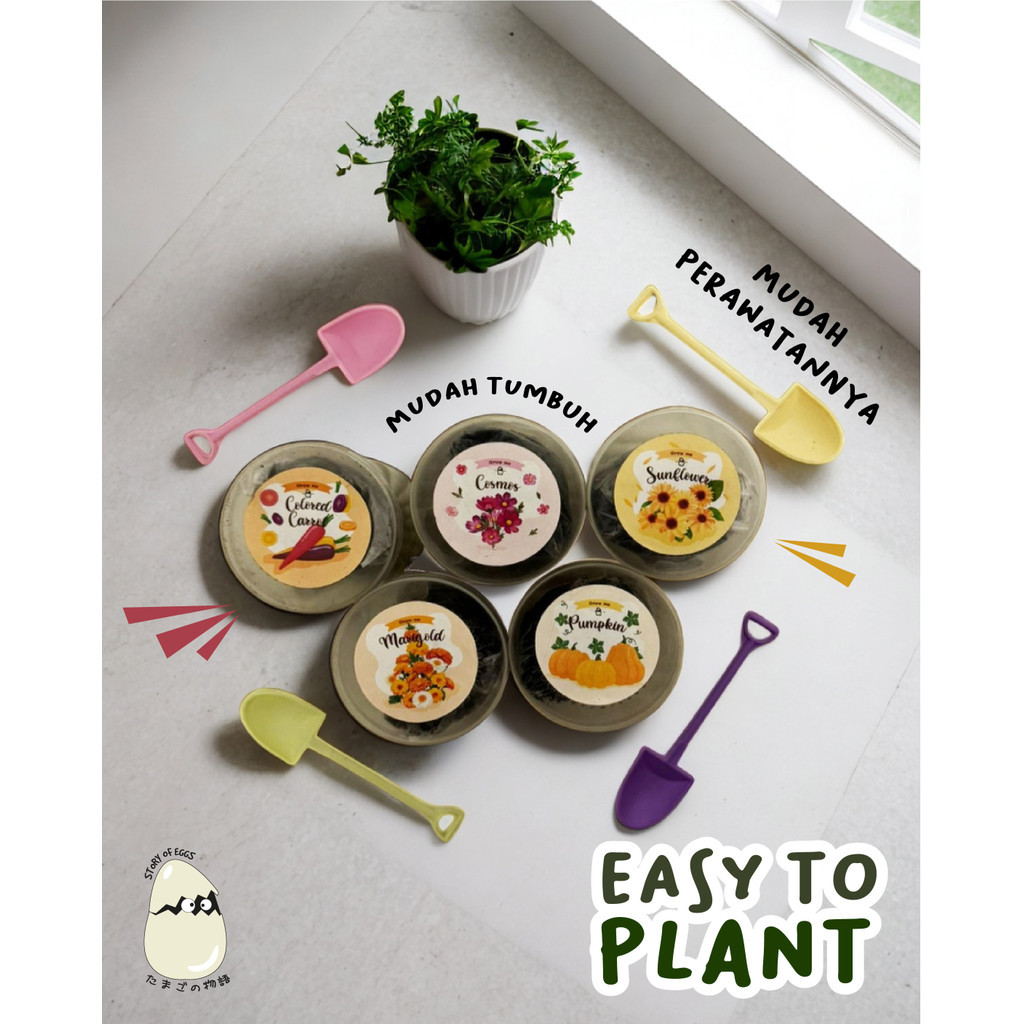 Jual Souvenir Menanam Hemat Gardening Starter Mini Grow Kit Paket ...