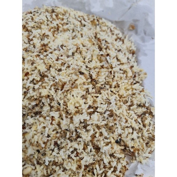 Jual Kroto Halus ( Telur Semut Rang Rang ) | Shopee Indonesia