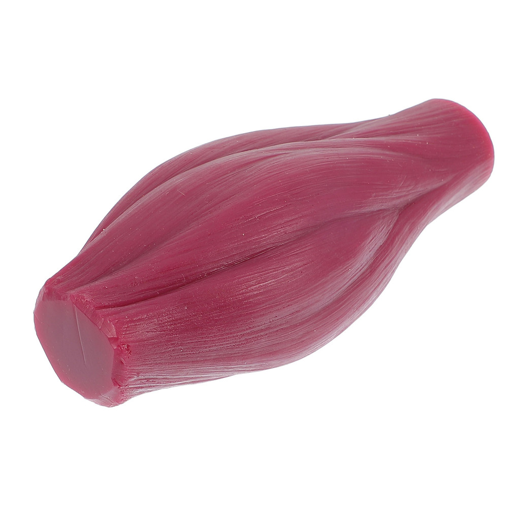 Jual GERAI SUKSES Human Muscle Arm Muscle Model Squiz Toys Human Body ...