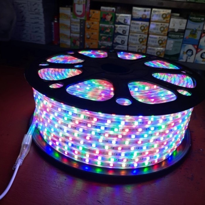 Jual Lampu LED strip RGB selang 100 METER SMD 5050 220v RGB 100M ...