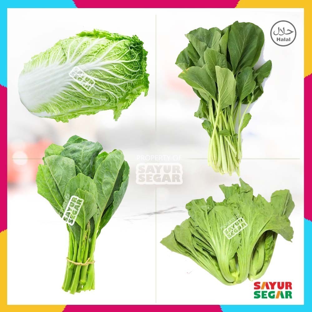 Jual Sayuran Segar Sawi Putih / Caisim / Kailan / Sawi Pahit | Shopee ...