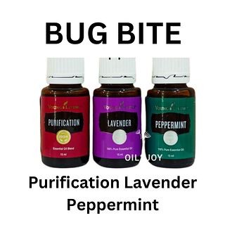 Jual Bug Bite Blend Purification Lavender Peppermint YL Essential Oil 5ml 10ml 15ml gatal bentol ...