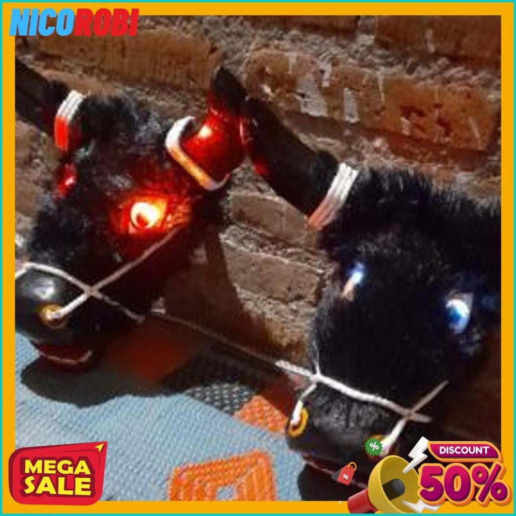 Jual New Bantengan Mata Menyala | Bulu Korea | Bantengan Mberot Full ...