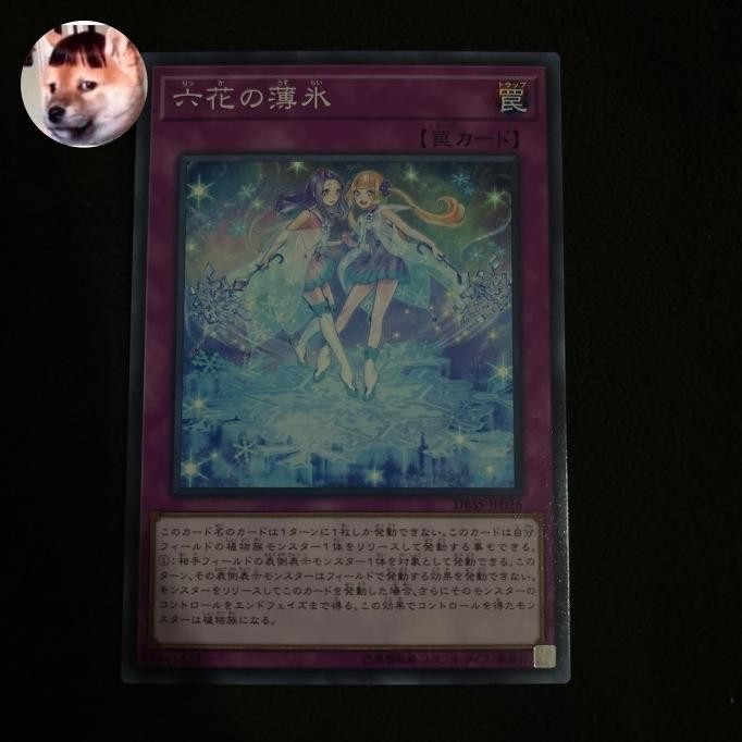 Jual YUGIOH OCG DBSS-JP026 RIKKA SHEET 1404T | Shopee Indonesia