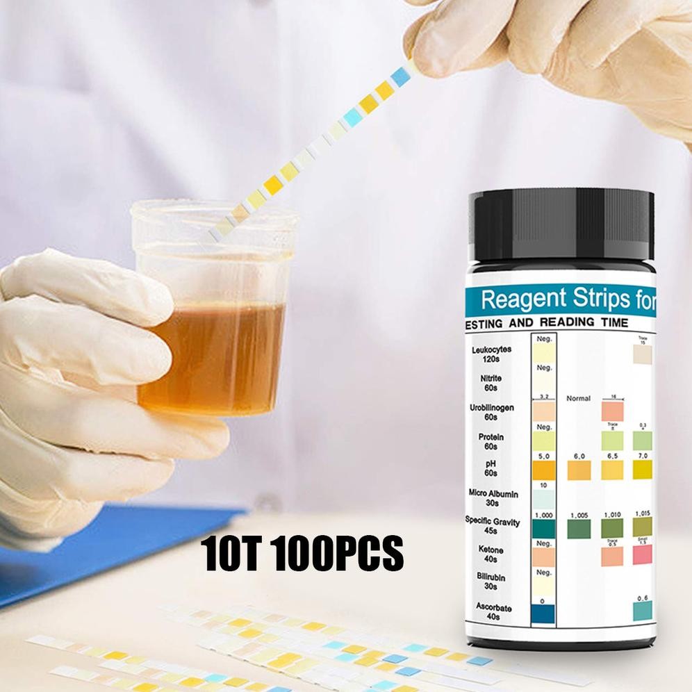 Jual Premium 100 Strips Alat Tes Urine 10 Parameter Urinalysis Reagent ...
