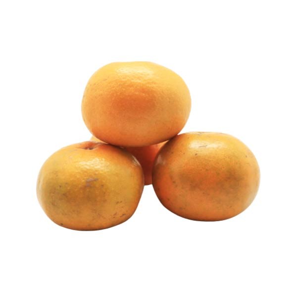 Jual JERUK MEDAN SUPER 570-590 GR | Shopee Indonesia