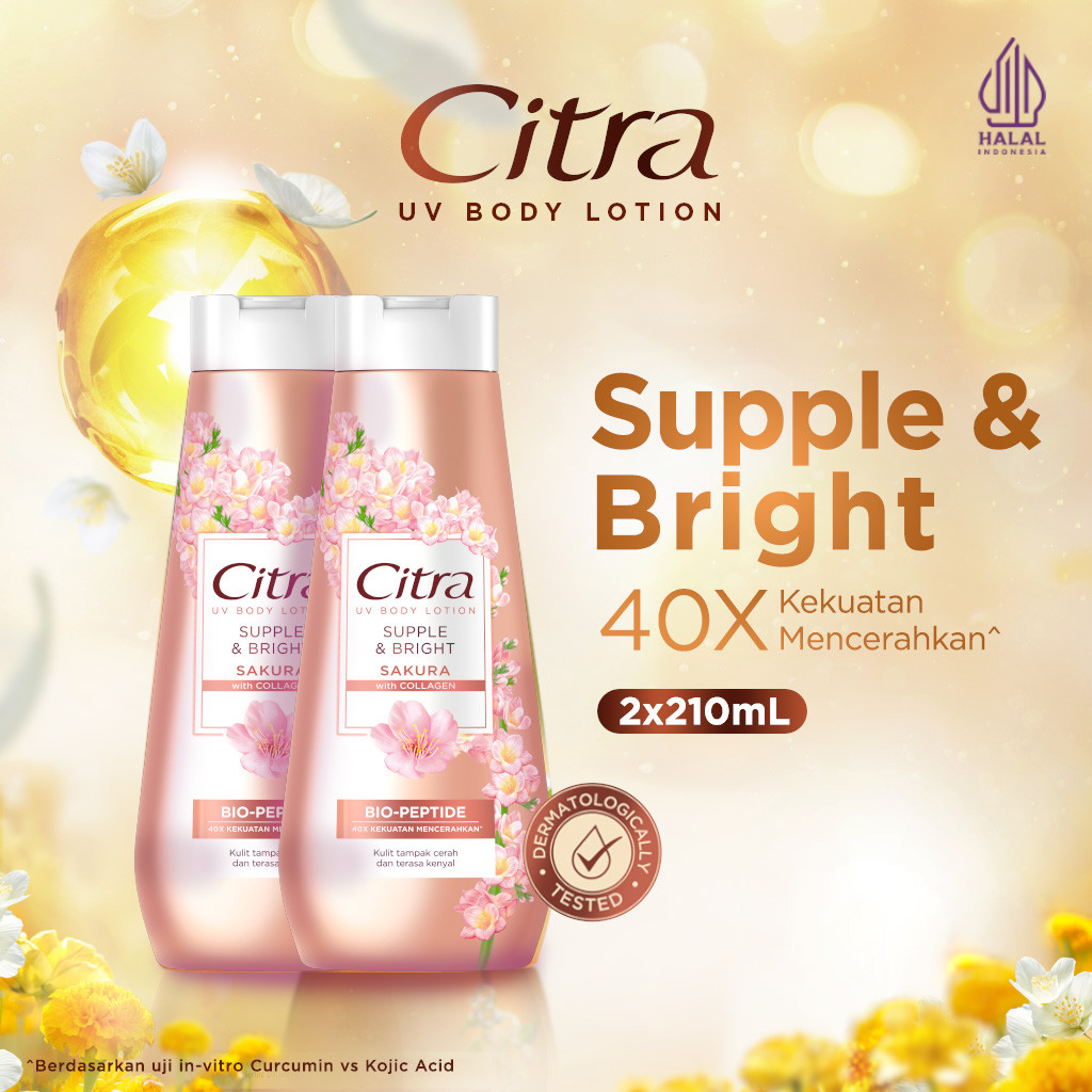 Jual Citra UV Body Lotion Supple & Bright Sakura 210ML Twinpack ...