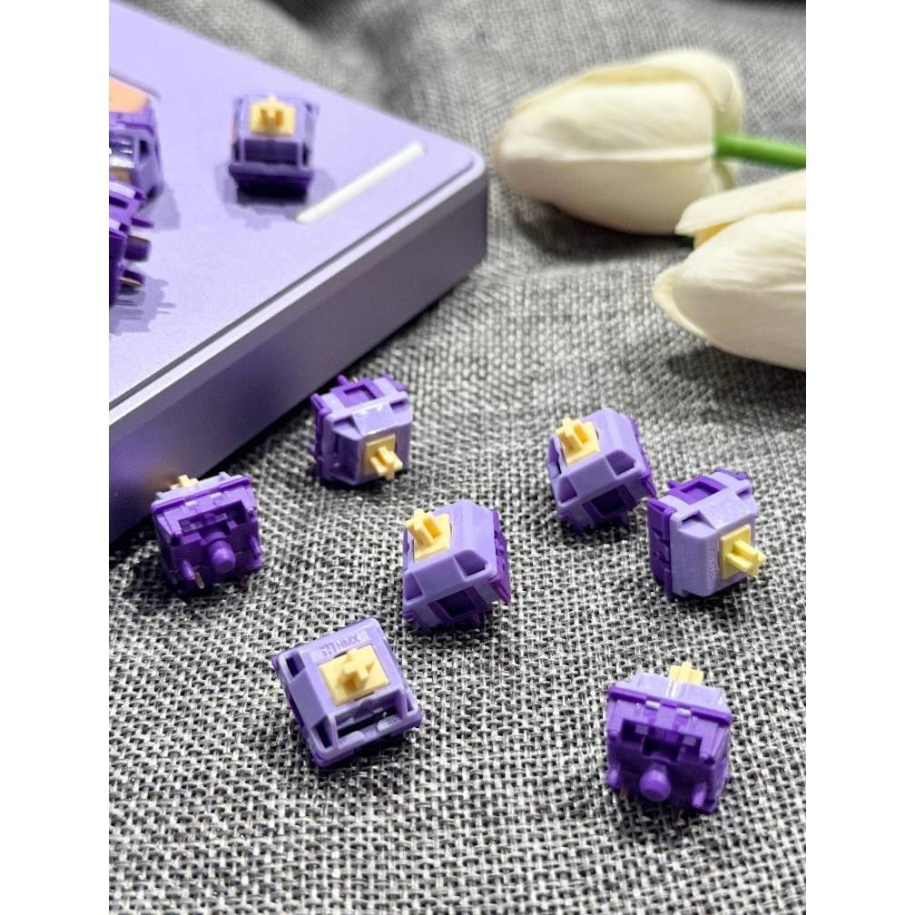 Jual Produk Baru!! HMX Lemon Grape Linear Switch 5 Pin - Switch ...