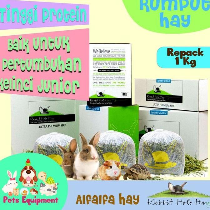 Jual ALFALFA HAY 1kg by rabbit hole hay/pakan kelinci marmut torto ...