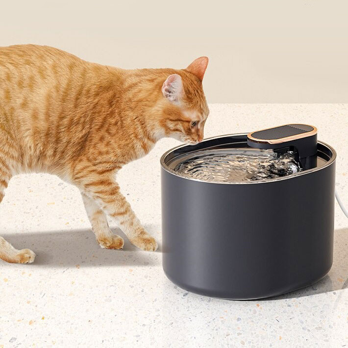 Jual POM Dispenser Hewan V2 Tempat Air Minum Pancuran Wadah Anjing ...