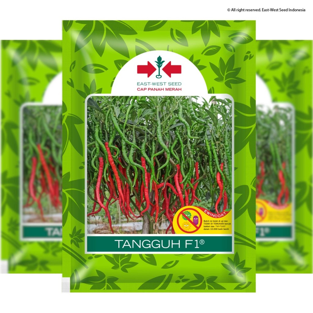 Jual CAP PANAH MERAH - 150 BUTIR BENIH CABE KERITING TANGGUH 77 F1 EXP ...