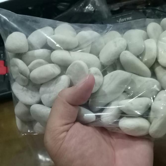Jual Batu koral putih 1 kg, batu taman putih, batu aquarium putih ...