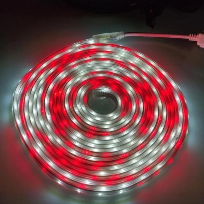 Jual Terang- Lampu Led Strip Selang Emico Merah Putih Panjang 7 Meter ...