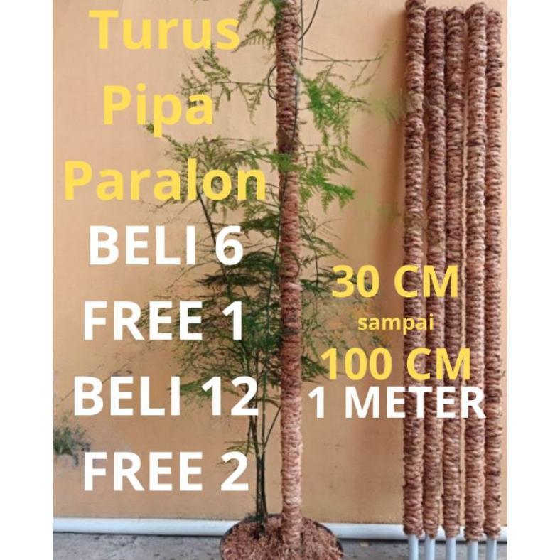 Jual Promo Cod Turus Penyangga Tanaman Penopang Ajir Tongkat Tiang 30 ...