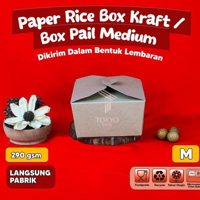 Jual Paper Food Pail /Rice Box Paper/Food Pail Box Medium/Large (Per ...