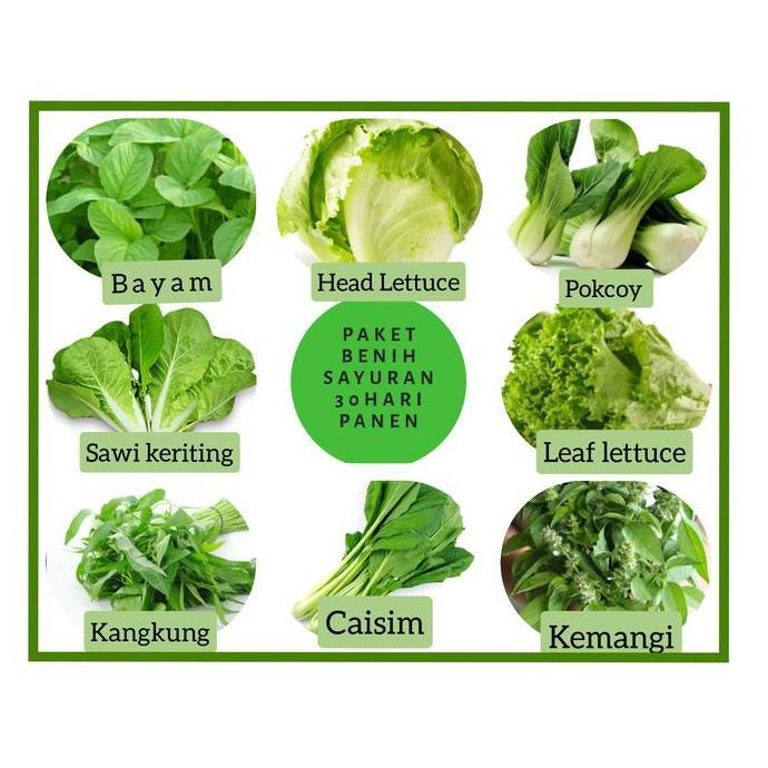 Jual Paket Benih / bibit sayuran 30 hari panen isi 8 jenis bibit ...