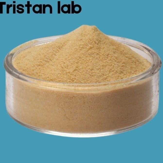 Jual Enzim Diastase/Amylase powder 55 Gram Original | Shopee Indonesia