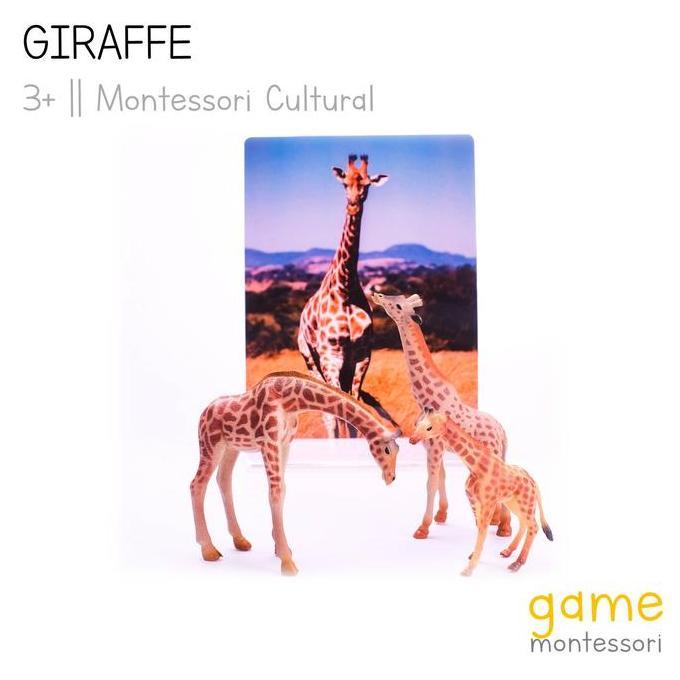 Jual Montessori Cultural Wild Animals Giraffes | Shopee Indonesia