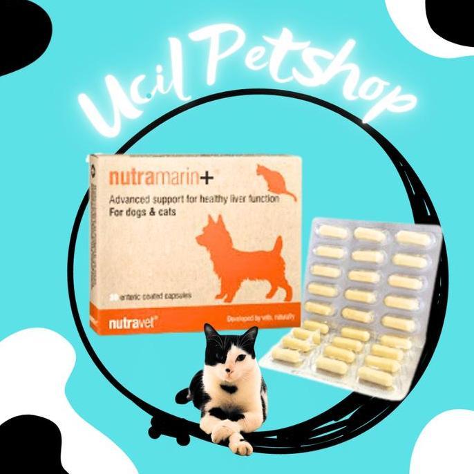 Jual Nutramarin + Plus Obat Gangguan Liver (Hati) Hepatic Hepato Kucing ...