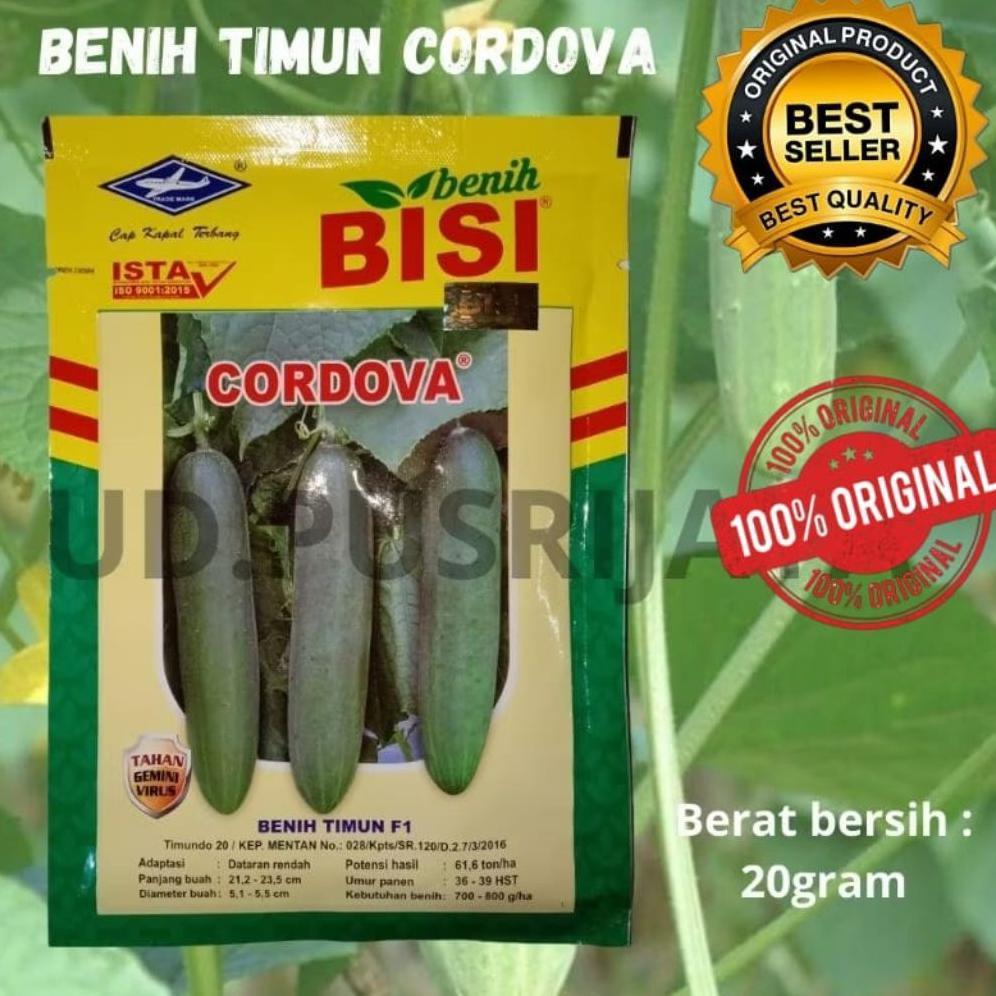 Jual Benih Timun Cordova F1 Bisi 20 Gram Asli | Shopee Indonesia