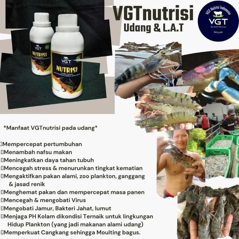 Jual Vgt Udang 250 Ml Vgt Udang Tambak Probiotik Udang 250 Ml | Shopee ...