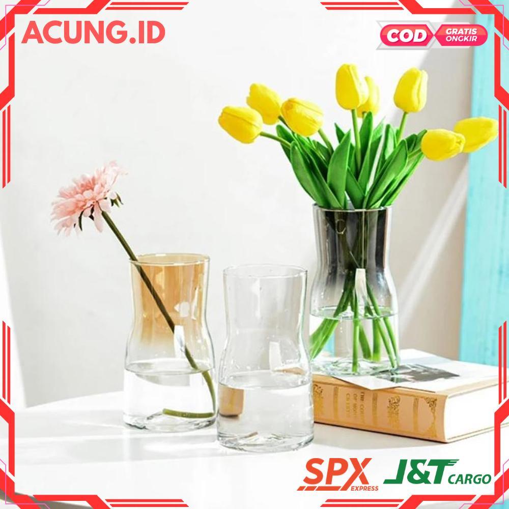 Jual Vas Kaca Tinggi Tempat Bunga Tabung Bening Pot Tanaman Glass Pryce ...