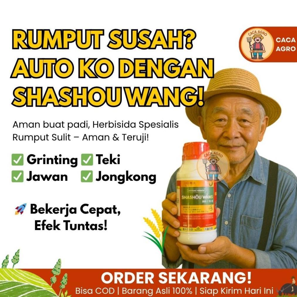 Jual Shashou Wang Herbisida Sistemik Selektif Pembasmi Rumput Liar ...