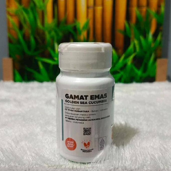 Jual GAMAT Kapsul HNI HPAI Mengandung Teripang Emas | Shopee Indonesia