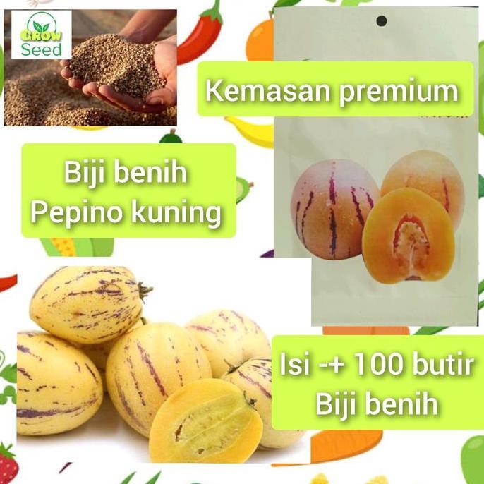 Jual kemasan premium biji benih tanaman buah pepino kuning impor f1 ...