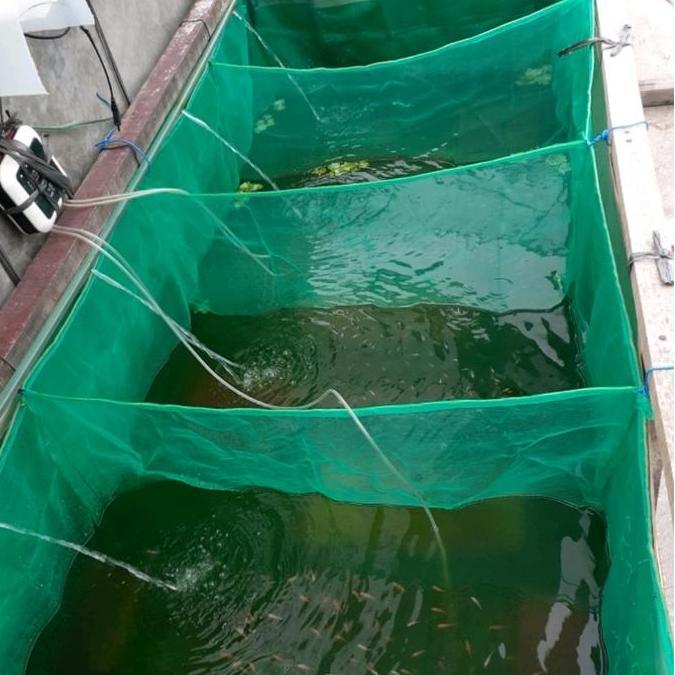 Jual K3150 Jaring keramba ikan 3x1x50 sekat 3 kamar siap pakai Umpan ...