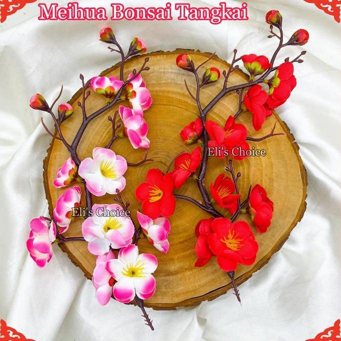 Jual Pohon Bunga Meihua Lengkap Berbagai Jenis & Varian 2025! Hiasan ...