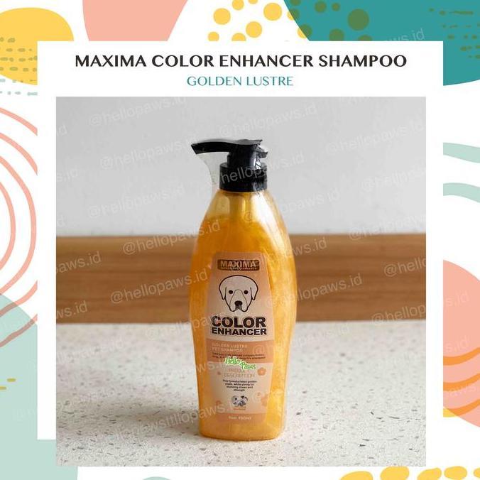Jual Pet Shampoo Maxima Organic Golden Hair 600ml - Shampoo Anjing ...