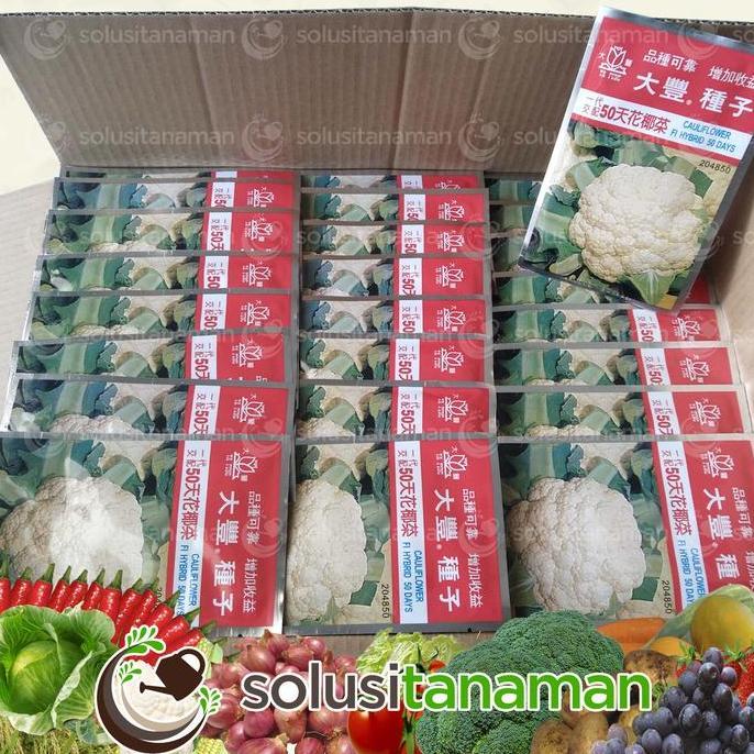 Jual HARGA DISC - Benih Bunga Kembang Kol Cauliflower 50 Days 10gr (1. ...