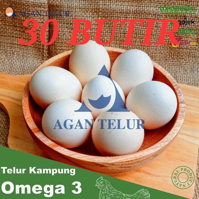 Jual Telur Kampung Omega 3 / 30 butir | Shopee Indonesia