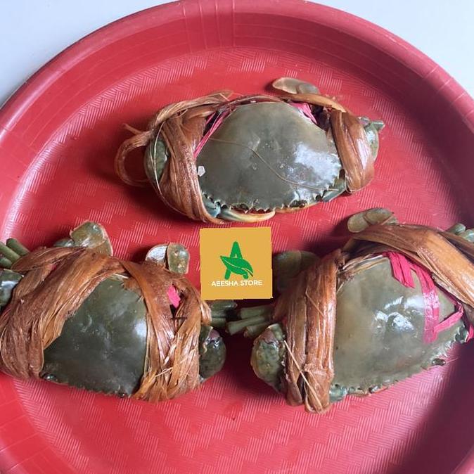 Jual Kepiting rawa hidup size besar ( 2-3 ekor ) | Shopee Indonesia