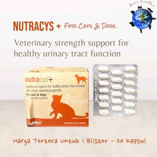 Jual Nutracys Urinary Tract Suppor Suplemen Kemih Kucing Anjing 1 ...