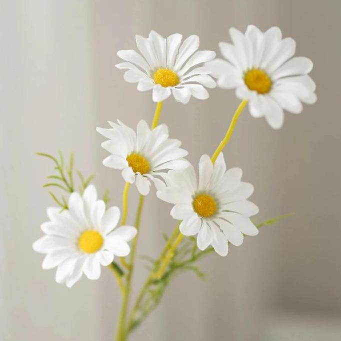 Jual Flowandbe- Bunga Daisy Dutch Cosmos Artificial Silk Import - White ...