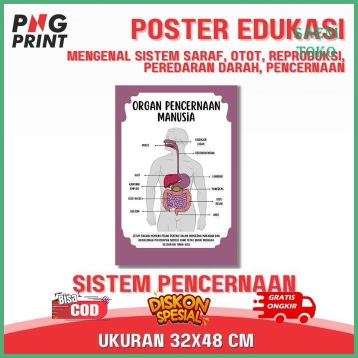 Jual ad-3 lij-56 g-24 POSTER EDUKASI - Poster Sekolah Mengenal Sistem ...