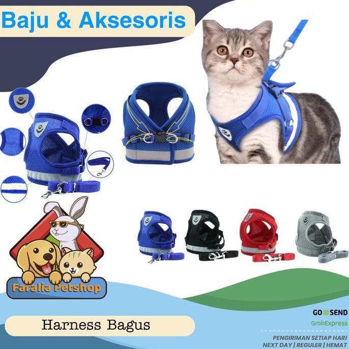 Jual Harness Kucing Anjing Tali Penuntun Hewan Pet Cat Harnes Rompi ...