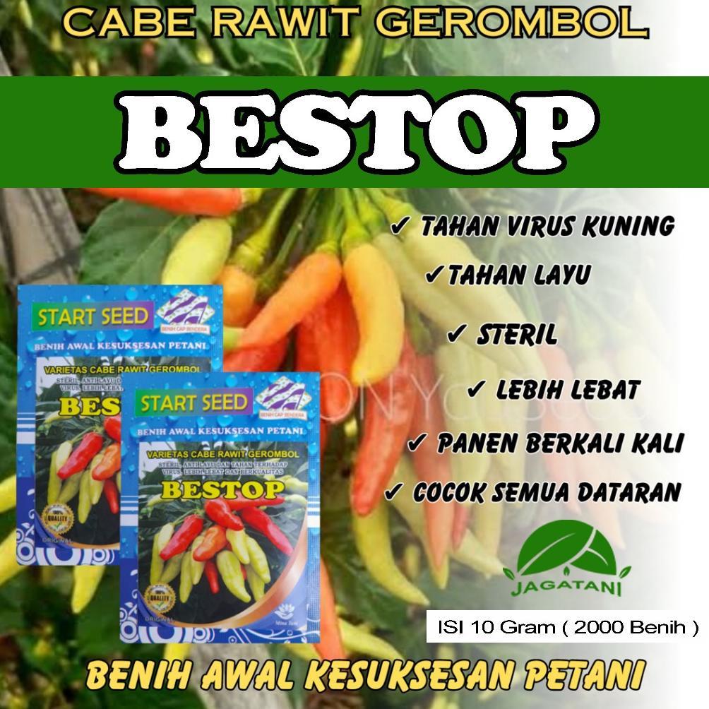 Jual (COD) Benih Cabe Rawit Gerombol Bestop 10gr 2000 Biji Kualitas ...