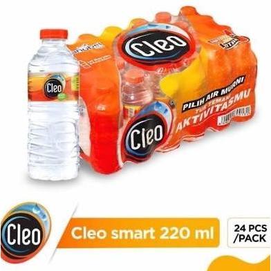 Jual Cleo Botol Kecil 1 Dus Terlengkap & Harga Terbaru Mei 2026 ...
