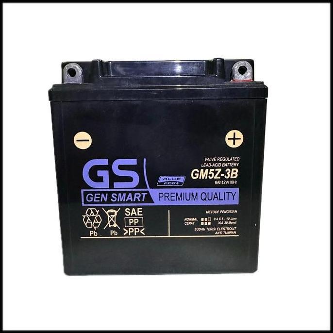 Jual GS Aki Kering Harga Terlengkap & Harga Terbaru Juni 2026 | Shopee ...
