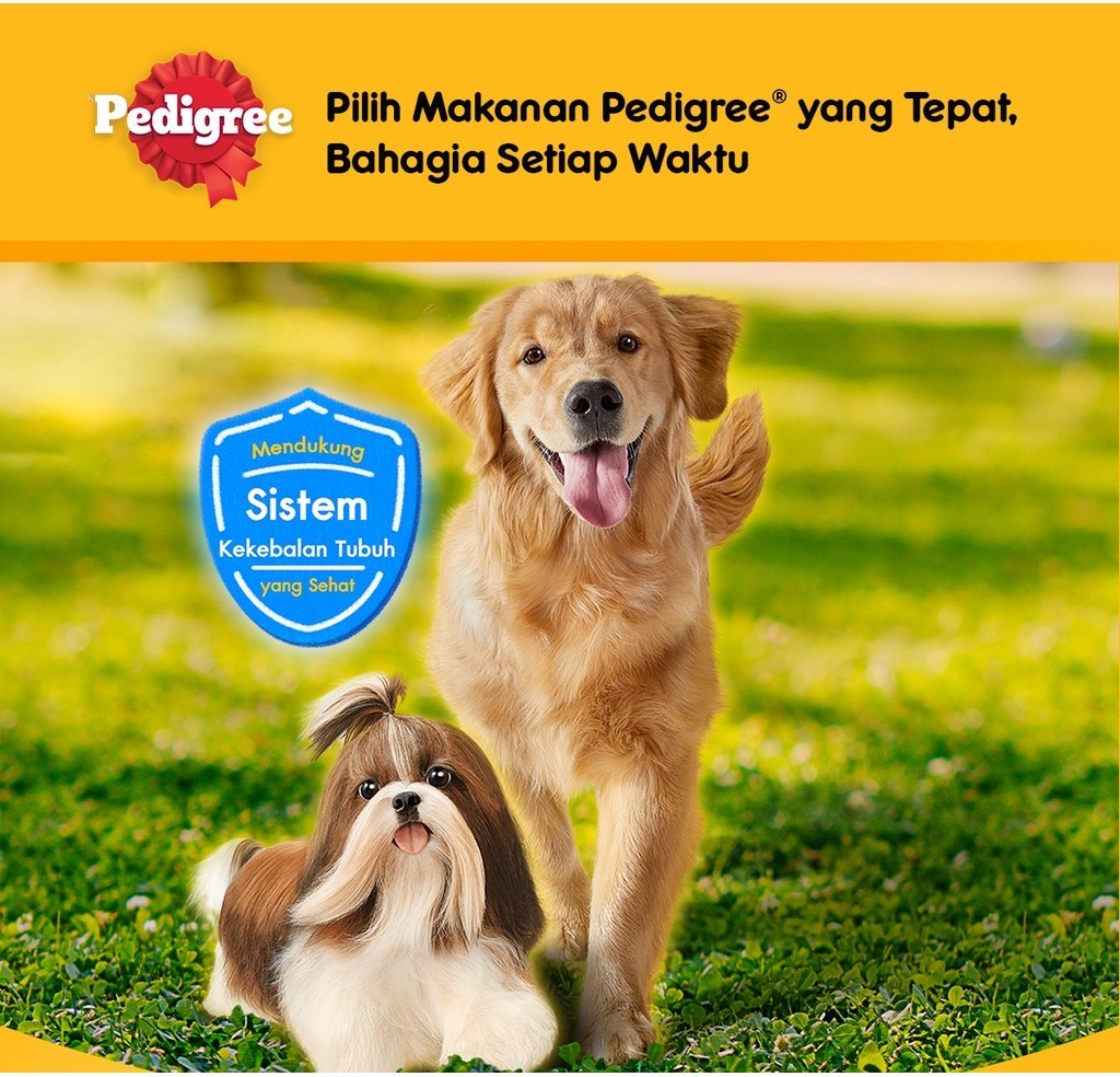 Jual PEDIGREE Makanan Anak Anjing NutriDefense Rasa Ayam Telur dan Susu ...