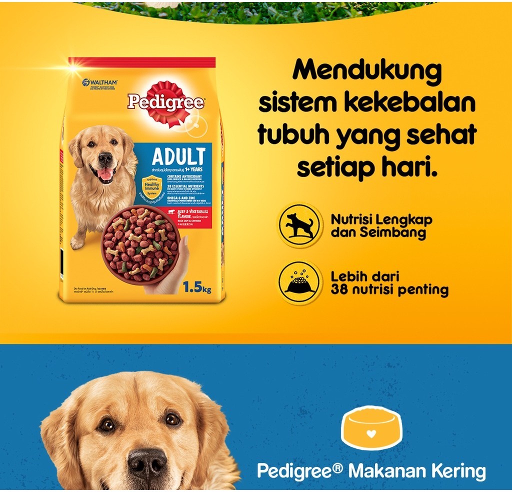 Jual PEDIGREE Makanan Anak Anjing NutriDefense Rasa Ayam Telur dan Susu ...