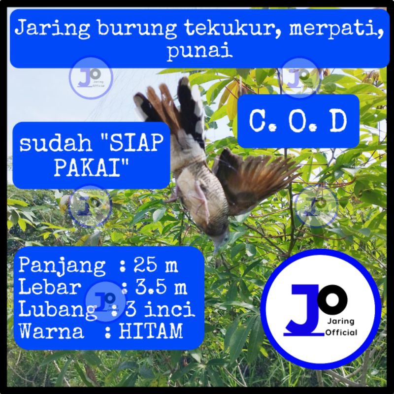 Jual jaring burung tekukur jaring burung siap pakai jaring burung besar ...