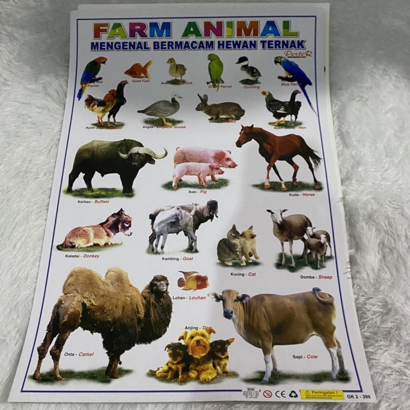 Jual [POSTER] POSTER EDUKASI ANAK VARIASI Binatang | Shopee Indonesia