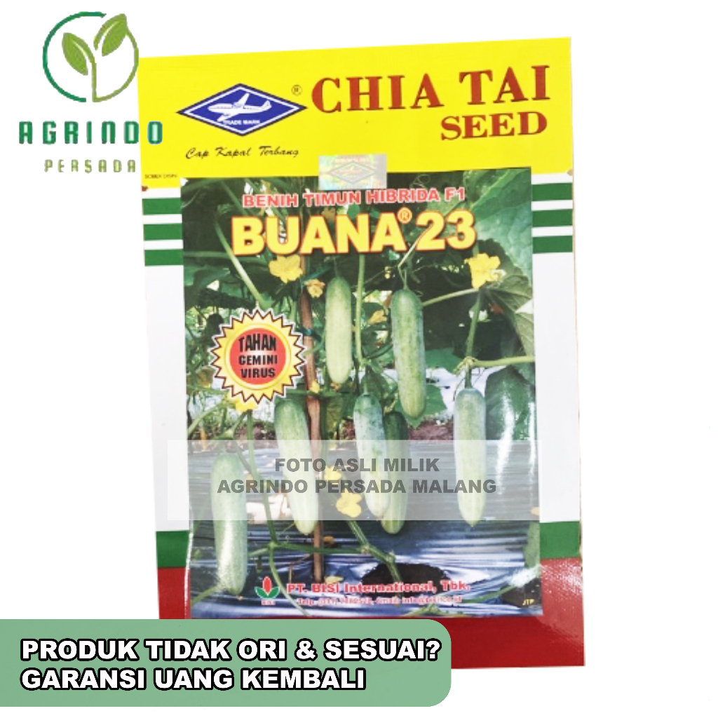 Jual Benih Timun Buana 23 20gram | Benih Buana 23 20 Gram | Timun Buana ...